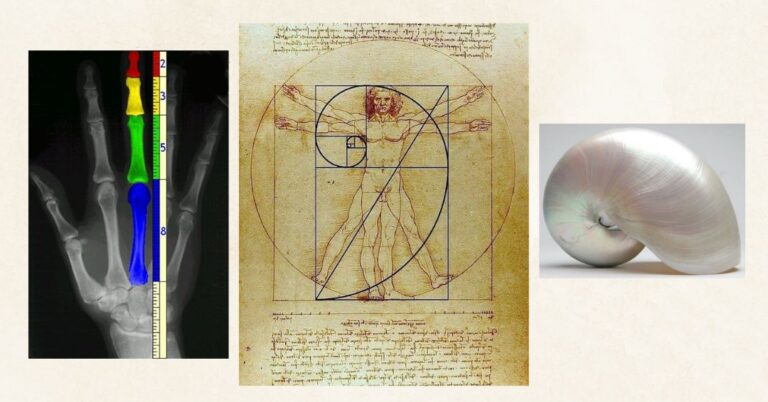 La Sección Áurea en la música: estructura y armonía
