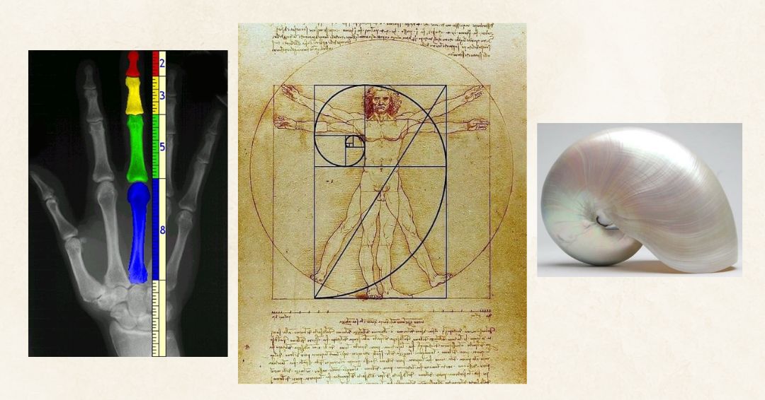 La Sección Áurea en la música: estructura y armonía
